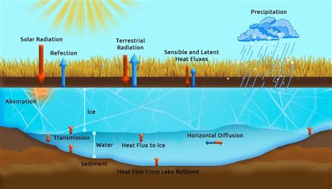 Thermal Stratification Formation Effects Ecology Waterlyst