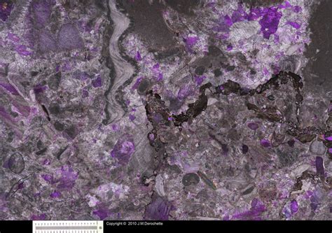 Carbonates Marble Thin Section