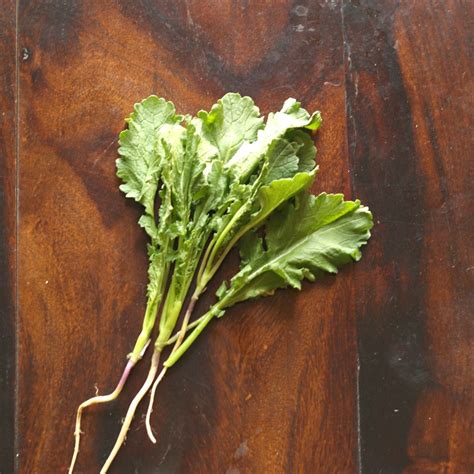 How To Use Sarson Ka Saag Leaves Sprout Monk