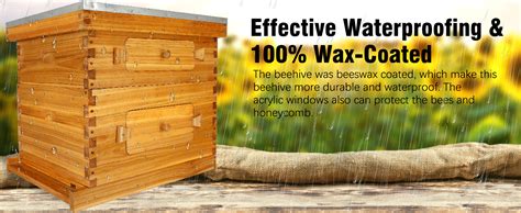 Beecastle 8 Frame Deep Bee Hive Box Langstroth Beehive Box Dipped In 100 Natural