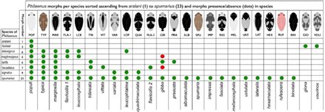 Number Of Morphs For Each Philaenus Species Green Dots Mark The