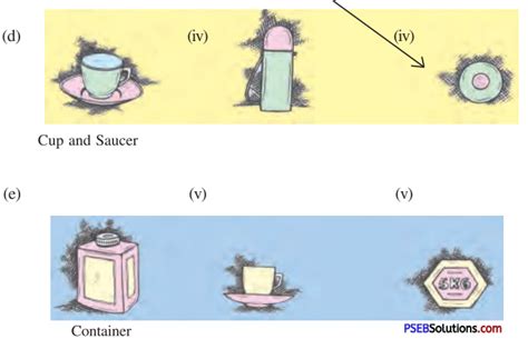 Pseb 8th Class Maths Solutions Chapter 10 Visualising Solid Shapes Ex