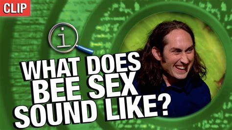 What Does Bee Sex Sound Like QI YouTube