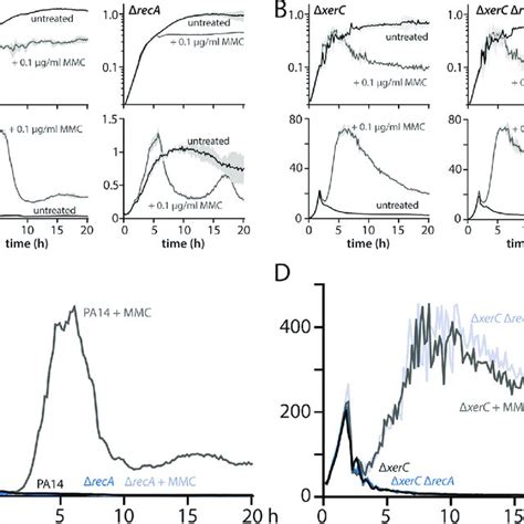 Mitomycin C Mediated Stimulation Of Pyocin Expression In Dxerc Strains Download Scientific
