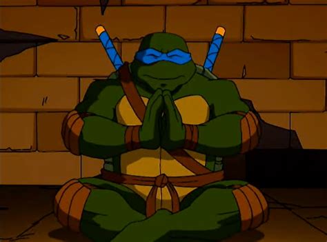 Tmnt Leonardo 2003