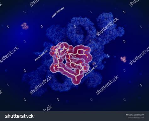 Crecimiento Celular Imágenes Fotos De Stock Y Vectores Shutterstock