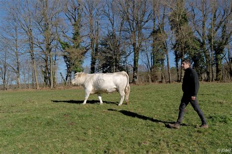 Philippe Séguy Eïwa Media
