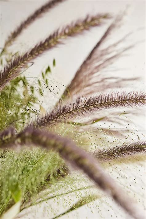 Fresh Grasses Bunch Terrain