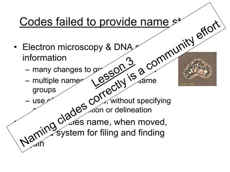 The New Classification Of Eukaryotes Pptx