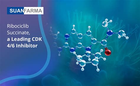 Ribociclib Succinate Transforming Hormone Receptor Positive Breast