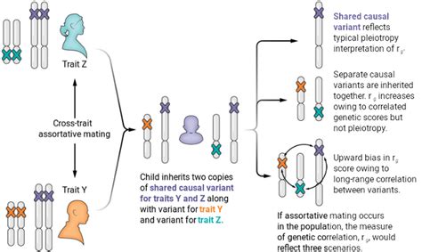 Alexander Young On Twitter Out Today In Sciencemagazine Our Paper
