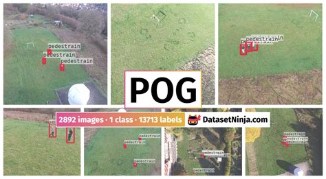 Pog Dataset Ninja
