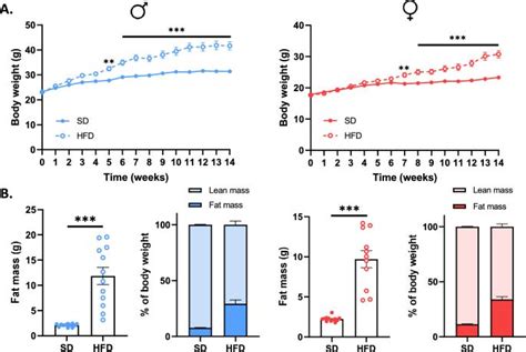 Jan Kostelnik On Linkedin Sex Dependent Effects Of A High Fat Diet On