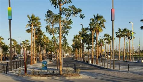 Ahead Of The Curve Through Procurement Spend Analysis