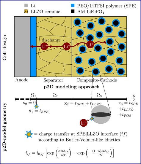 Impact Of Polymer Interlayers On All Solid State Battery Performance