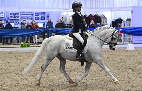 Training Native Ponies For Dressage With Practical Exercise And Expert Tips