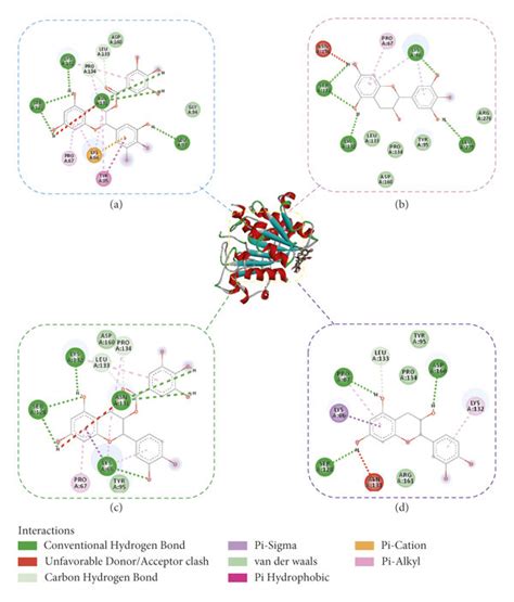 Three Dimensional 3d And Two Dimensional 2d Binding And Interaction
