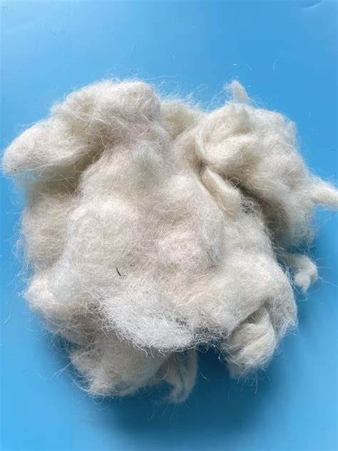 Carded Sheep Wool For Carpet Yarn Making Sheep Wool Carbonized Wool