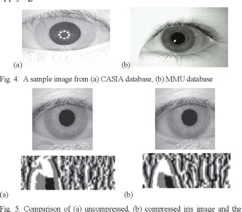 Wavelet Transform Semantic Scholar