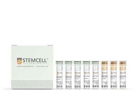 Stemcell Technologies Easysep™ Human Cd4 Cd127lowcd25 Regulatory T