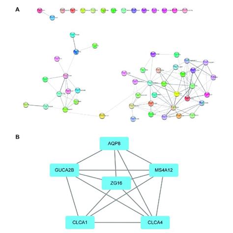ppi network a ppi of the string database b core regulatory