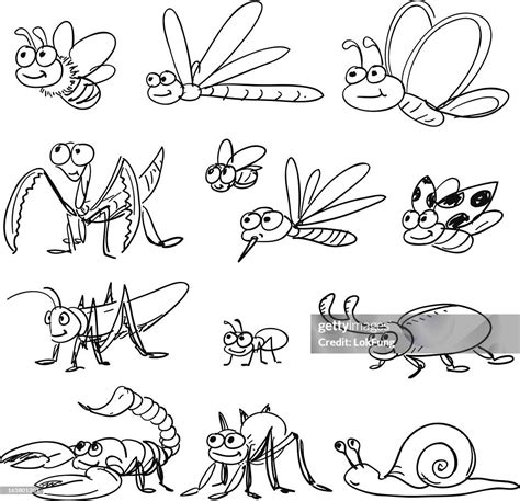 Insects Black And White Clipart