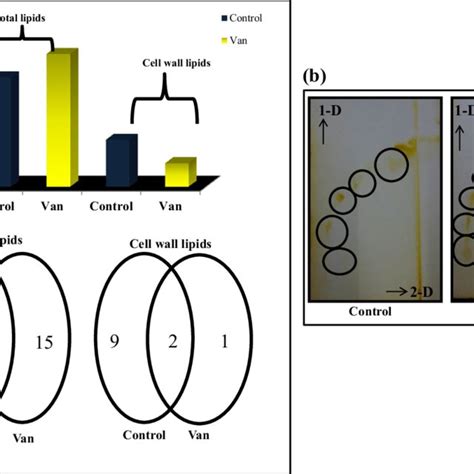 Lipidome Profile Of Total And Cell Wall Lipids A The Upper Panel Bar