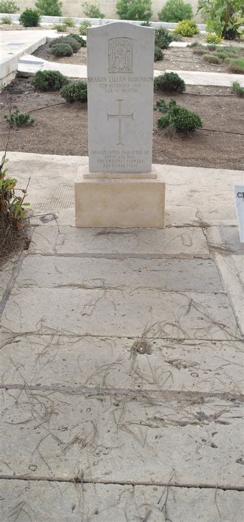 N Bain Susan Mcgarry Mary Pullin A Military Photo And Video Website