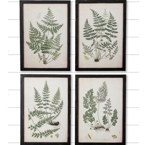 Framed Fern Print Set4 Assorted Piper Classics