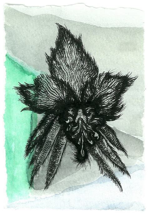 Ieva Rižė Drifts Gallery