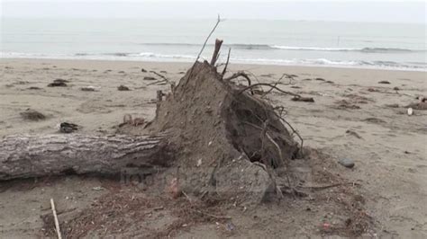 Deti Merr Tokën Në Shëngjin Në Plazhin E Kunes Përparon 2 5 Metra çdo