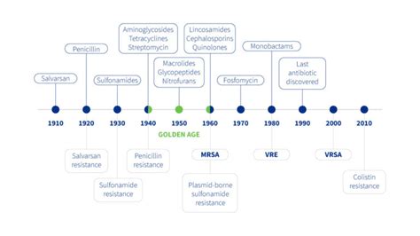 History Of Antibiotics The Use And Development Of Antibiotics
