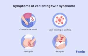 All Whys And Hows Of Vanishing Twin Syndrome Femia