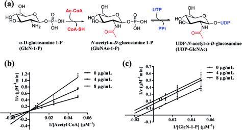 A Illustration About The Biosynthesis Of Uridine Diphosphate