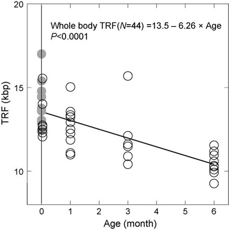 Regression Analysis Of The Terminal Restriction Fragment Length During
