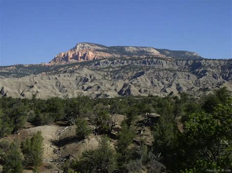 Anastomosing Fluvial Systems Ppt