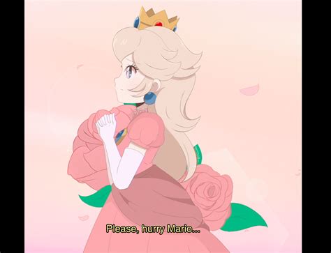 Chocomiru Princess Peach Mario Series Nintendo Super Mario 64