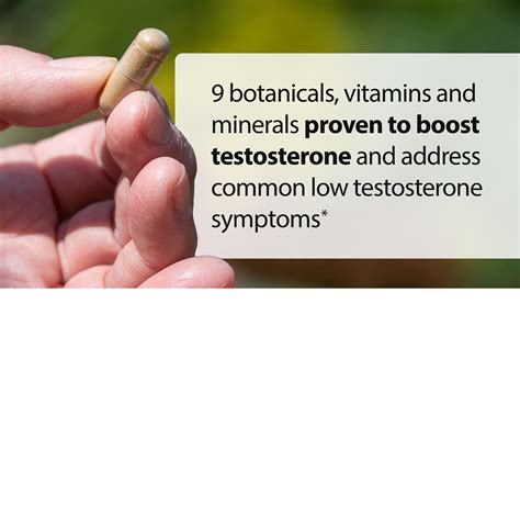 Testosterone Support Innerbody Labs