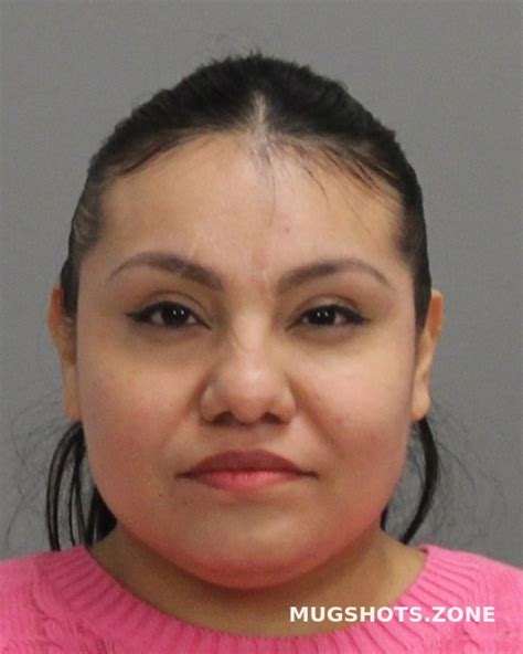 Bravo Bianca 02152025 Brazos County Mugshots Zone