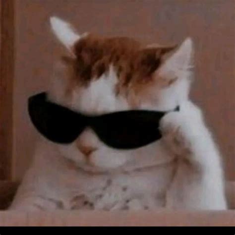 Ramoon Profile Album Of The Year