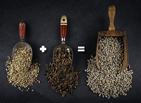 Scratch And Peck Feeds® Organic Layer Pellets 16 My Favorite Chicken