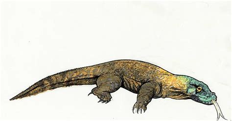 Komodont Play Oc Imgur