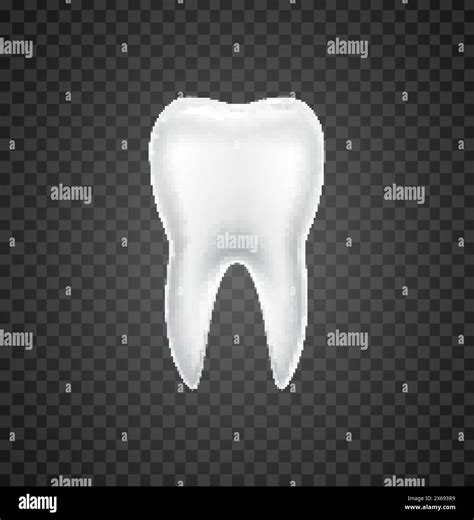Isolated Tooth Dental Vector Realistic White Single Graphic Tooth