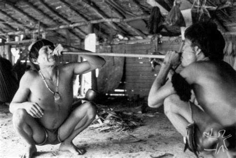Yanomami Origens Nativas