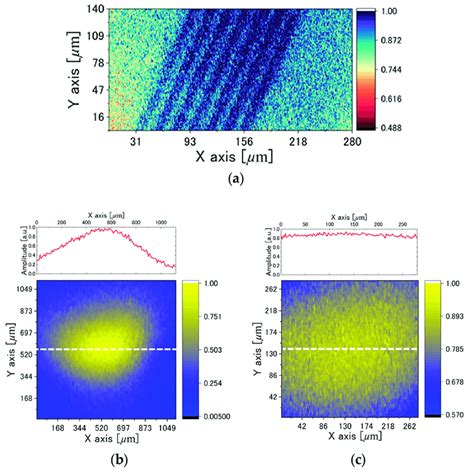 A Terahertz Reflection Image Of 9 µm Gold Interdigitate Structure