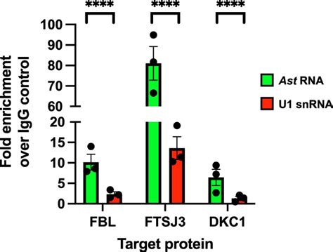 Identification And Mapping Of Post Transcriptional Modifications On The