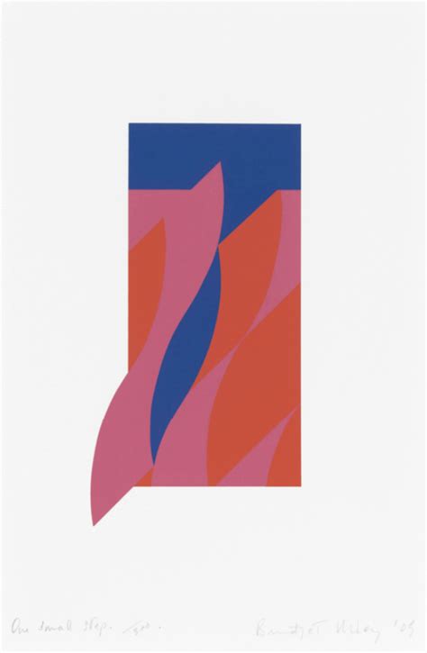 One Small Step By Bridget Riley 2009 Print Screen Printing On Paper