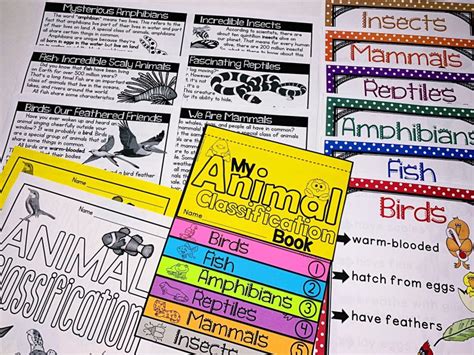 Animal Classification Activities For The Upper Elementary Classroom