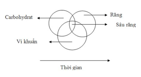 Bệnh Căn Sâu Răng