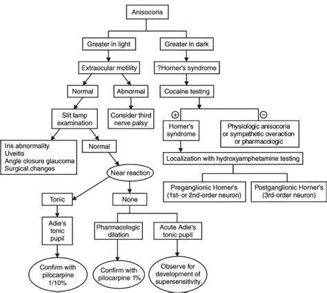 Anisocoria And Pupillary Abnormalities Ento Key